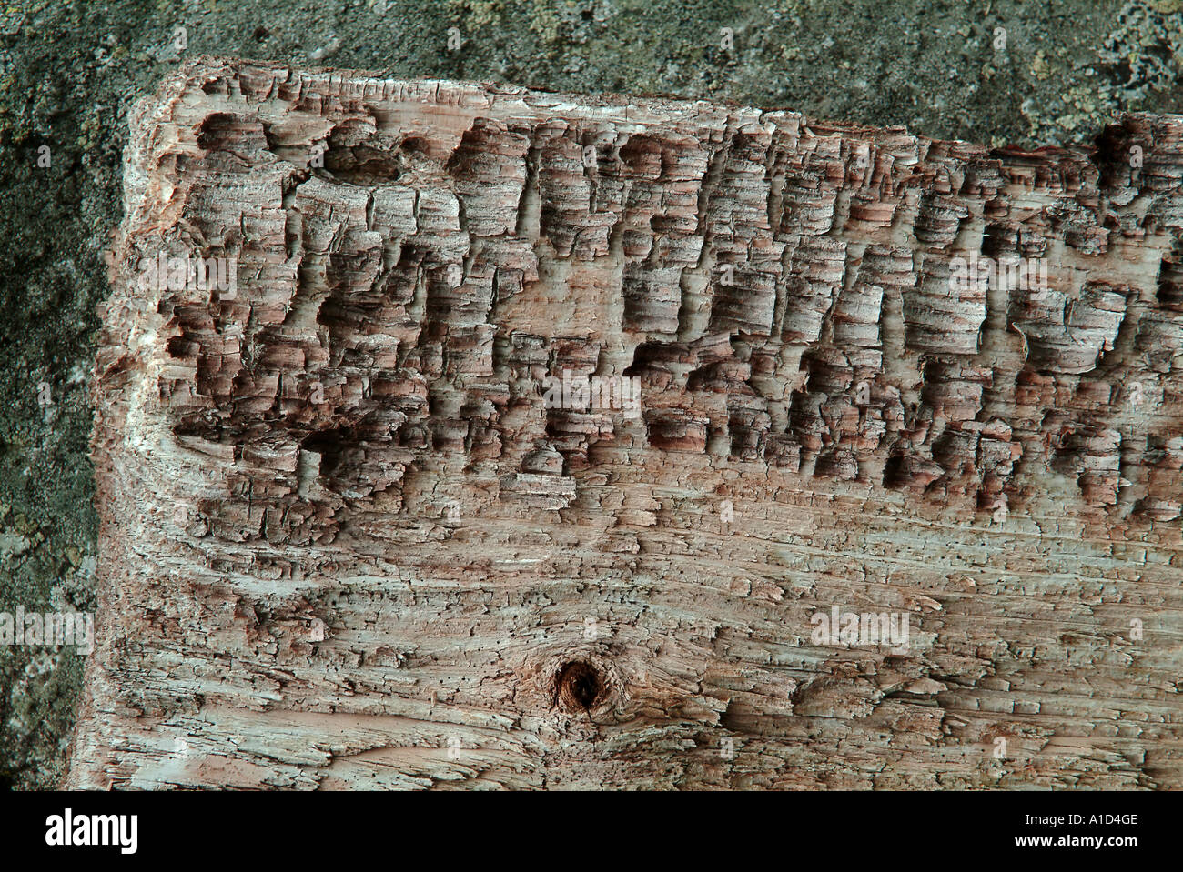 Oldness hi-res stock photography and images - Alamy