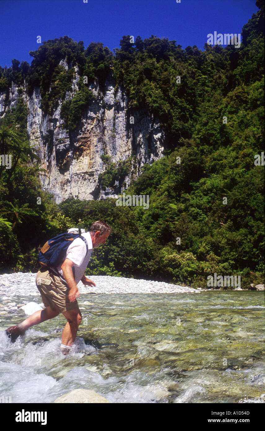 Older walker male walking through a stream in New Zealand Stock Photo ...
