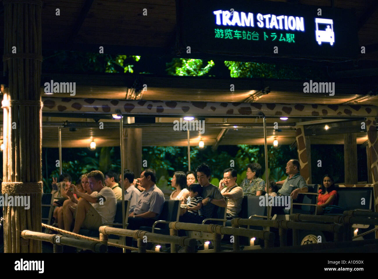 the SINGAPORE NIGHT SAFARI ZOO TRAM STATION rail railway people jungle ...