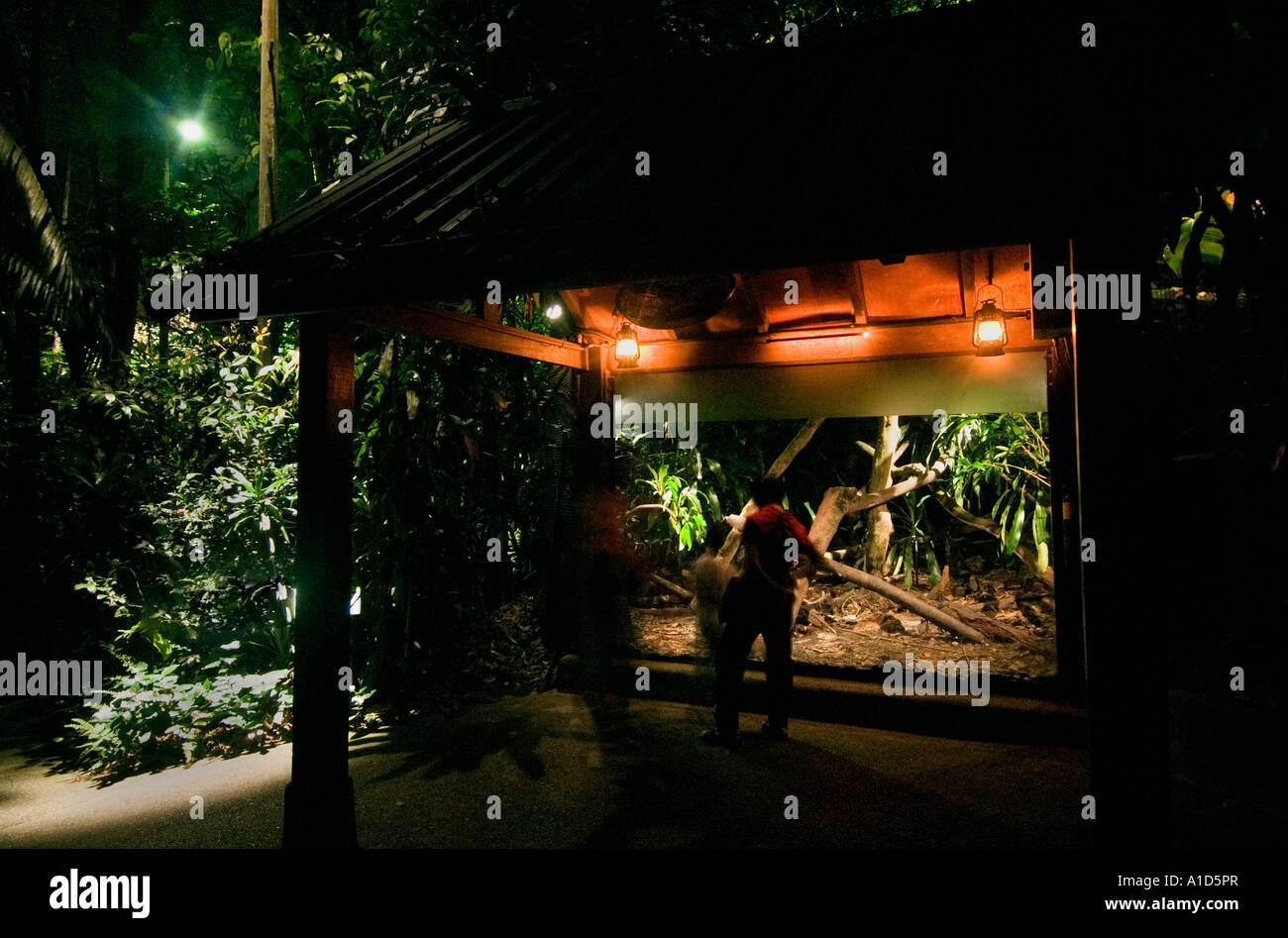 Night Safari Singapore Show