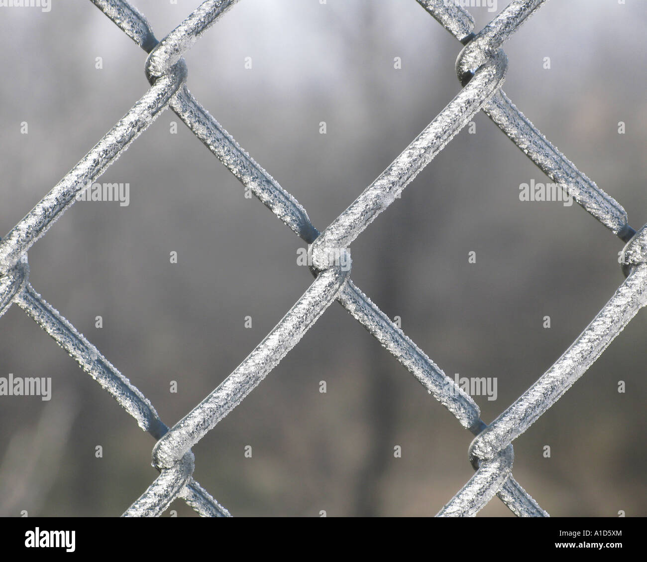 Kept frozen hi-res stock photography and images - Alamy