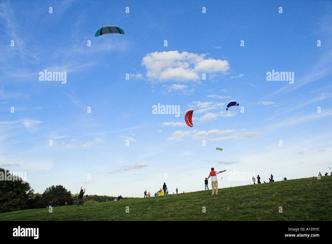 London kites hi-res stock photography and images - Alamy