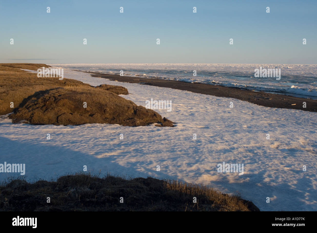 spring breakup along the Arctic coast south of Point Barrow eastern ...