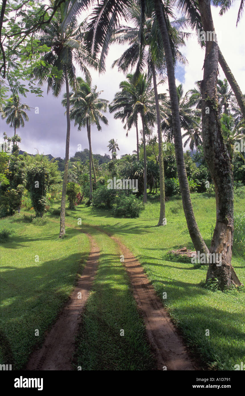 Cook Islands tropical dirt road South Pacific Stock Photo - Alamy
