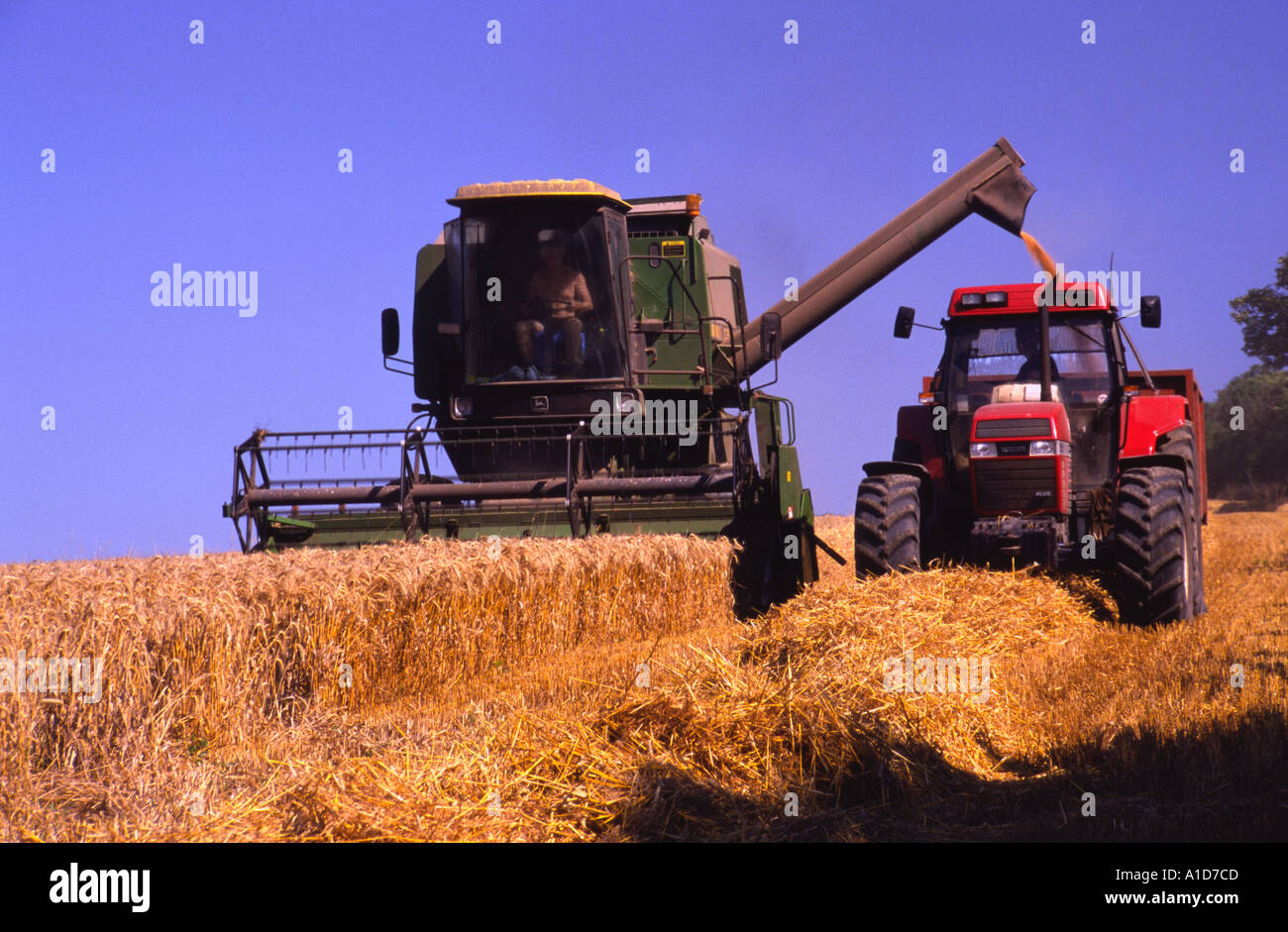 Combine Harvesting on British FarmUK Stock Photo - Alamy