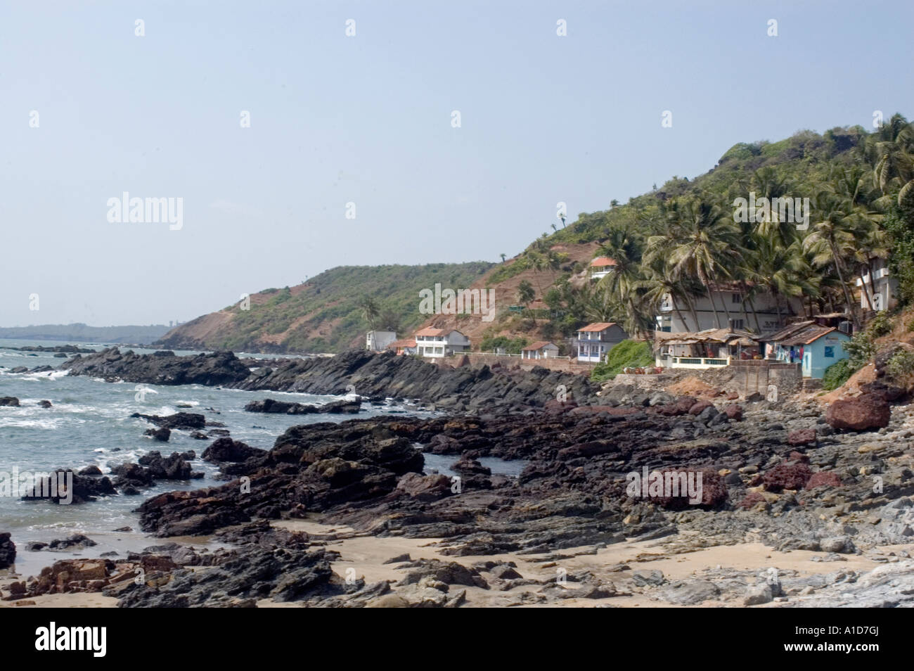 Harmal hi-res stock photography and images - Alamy