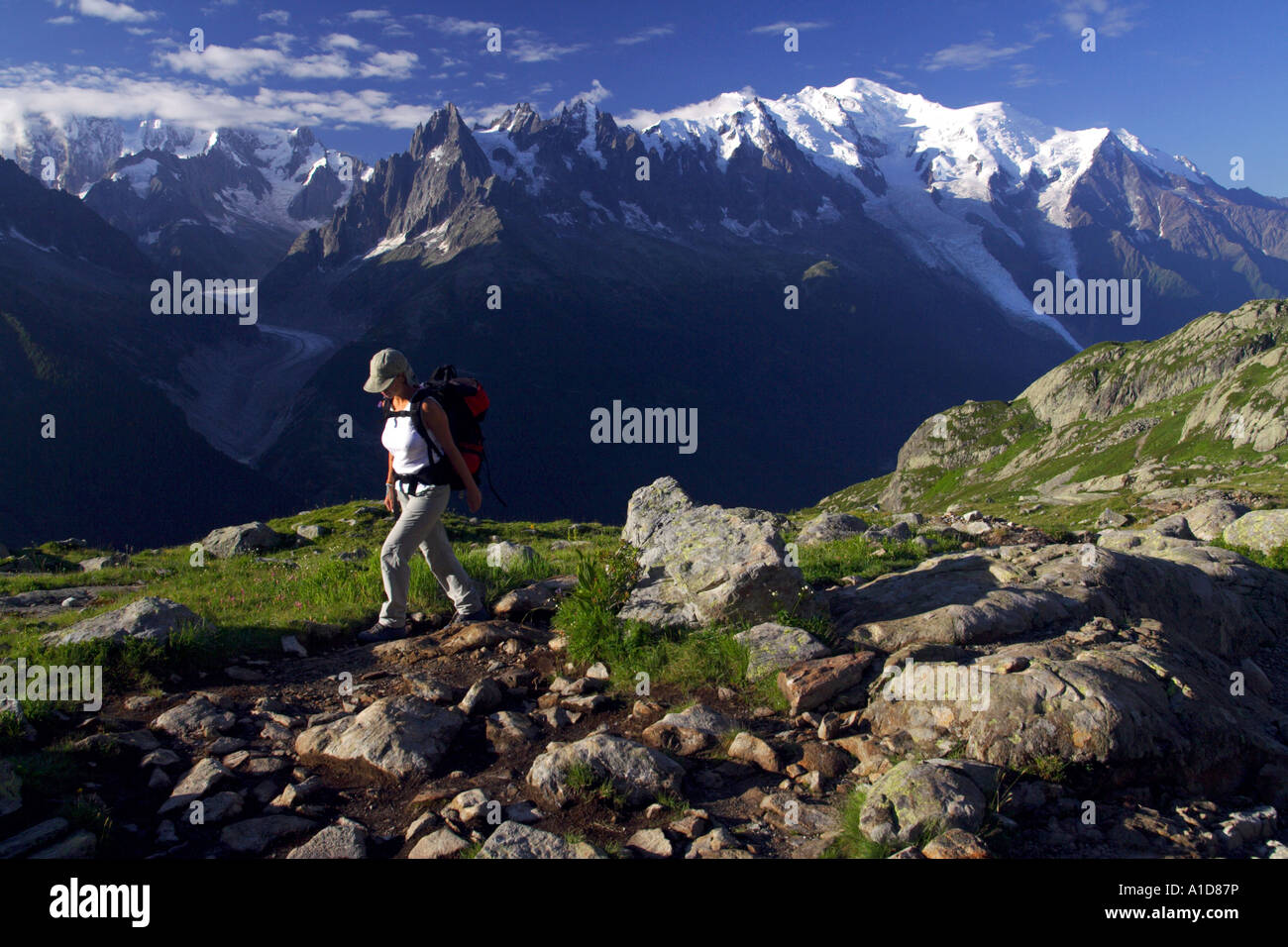 Female hiker in the French Alps, with the Mont Blanc massif in the ...