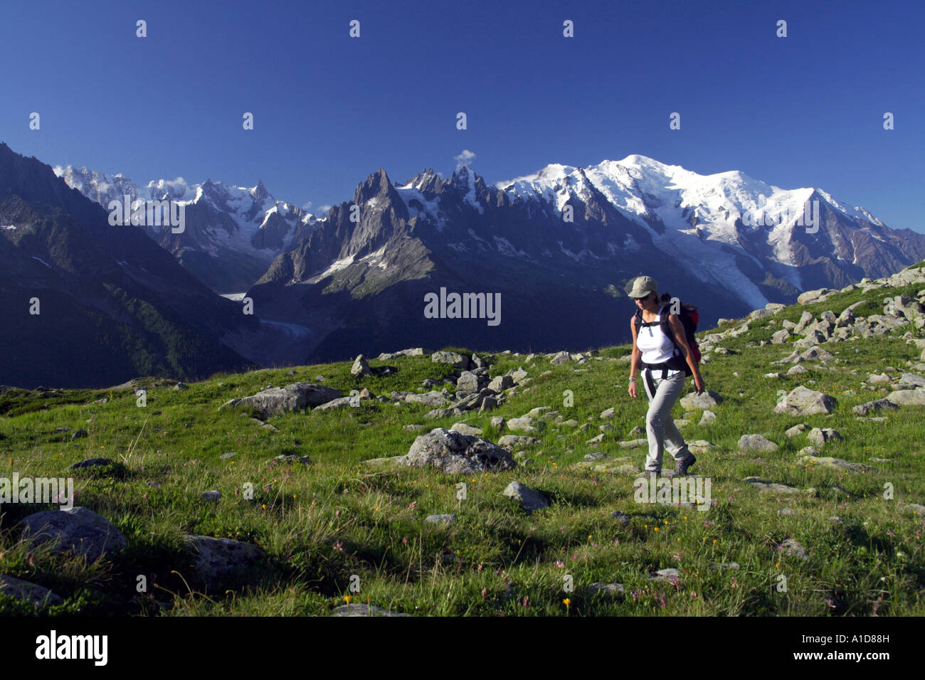 Female hiker in the French Alps, with the Mont Blanc massif in the ...