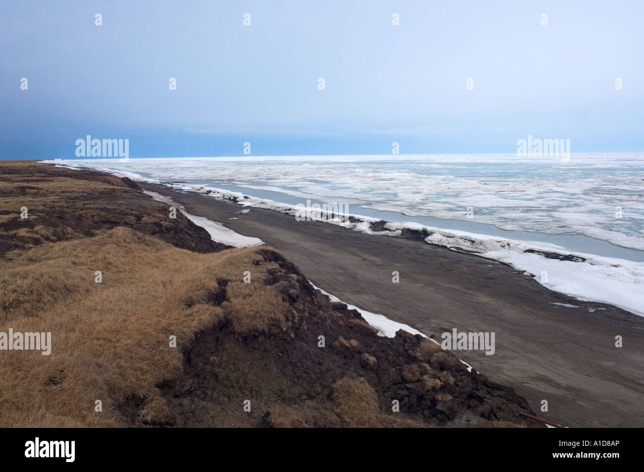 spring breakup along the Arctic coast south of Point Barrow eastern ...