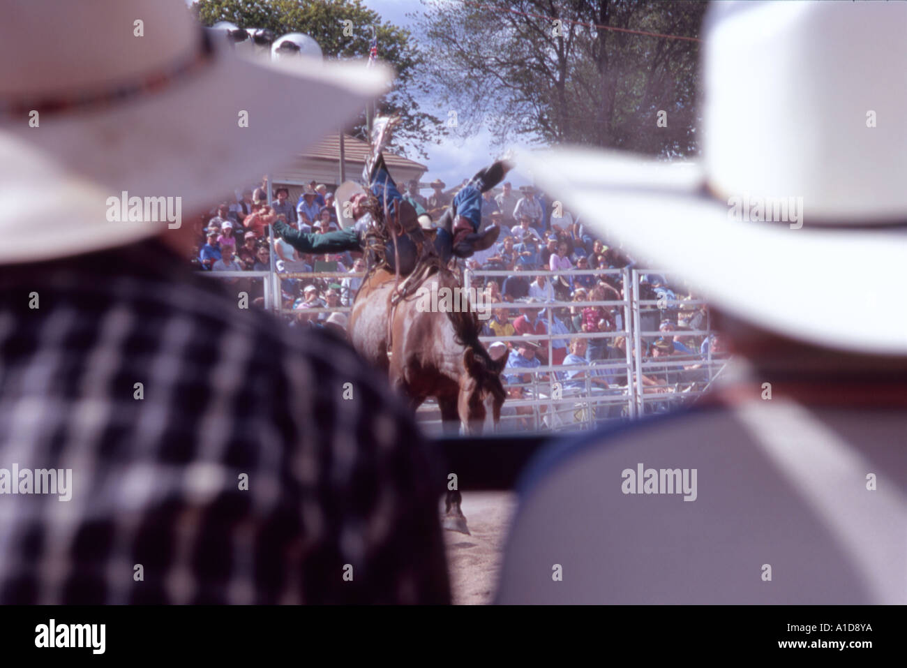 Rodeo Western Australia High Resolution Stock Photography and Images ...