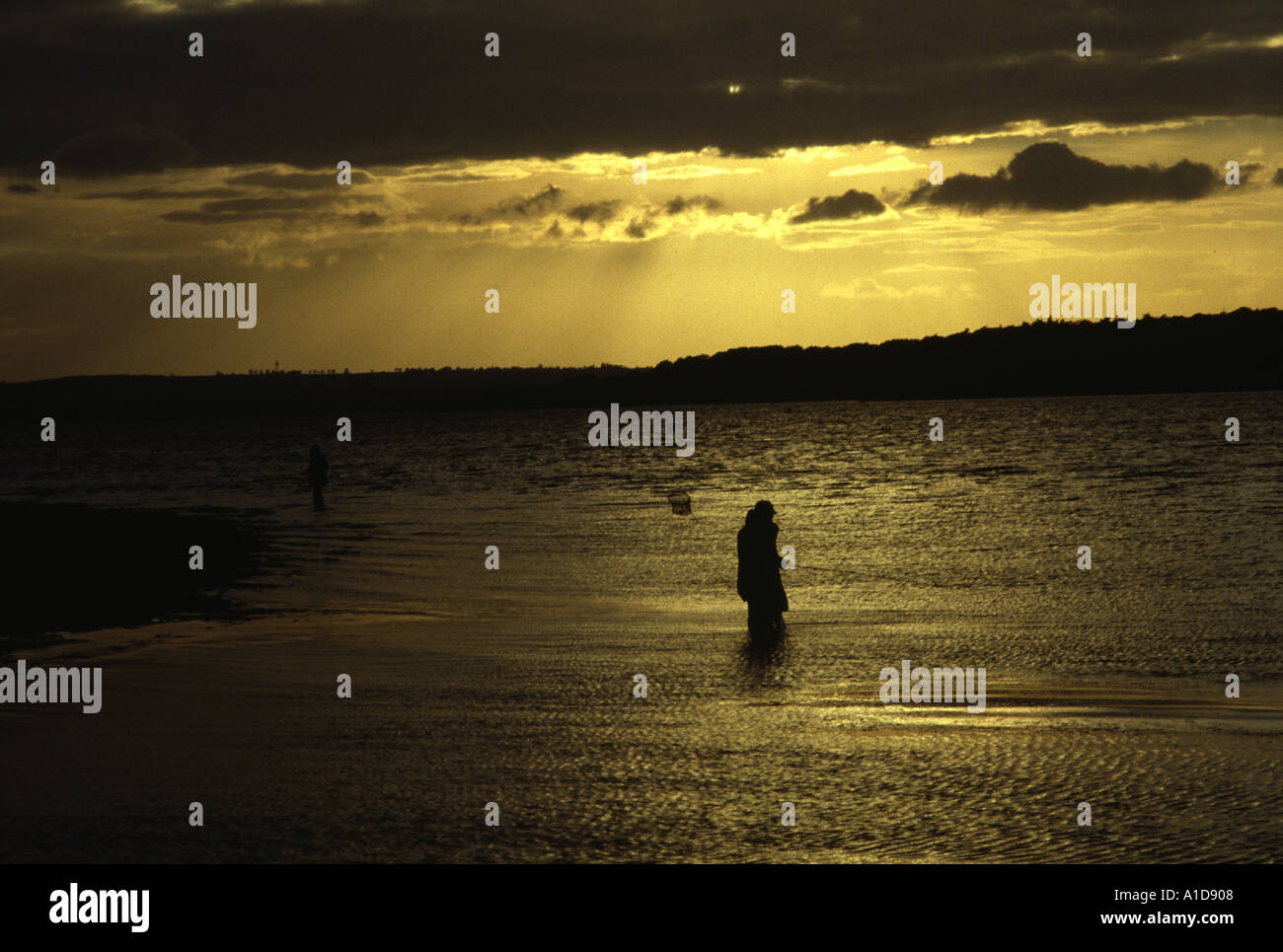 Rutland Water trout fishing Stock Photo - Alamy