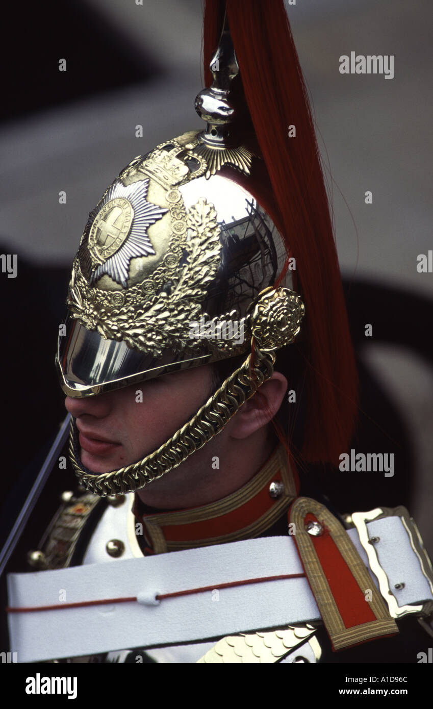 Trooper Blues Royals Trooping of the Colour Stock Photo - Alamy