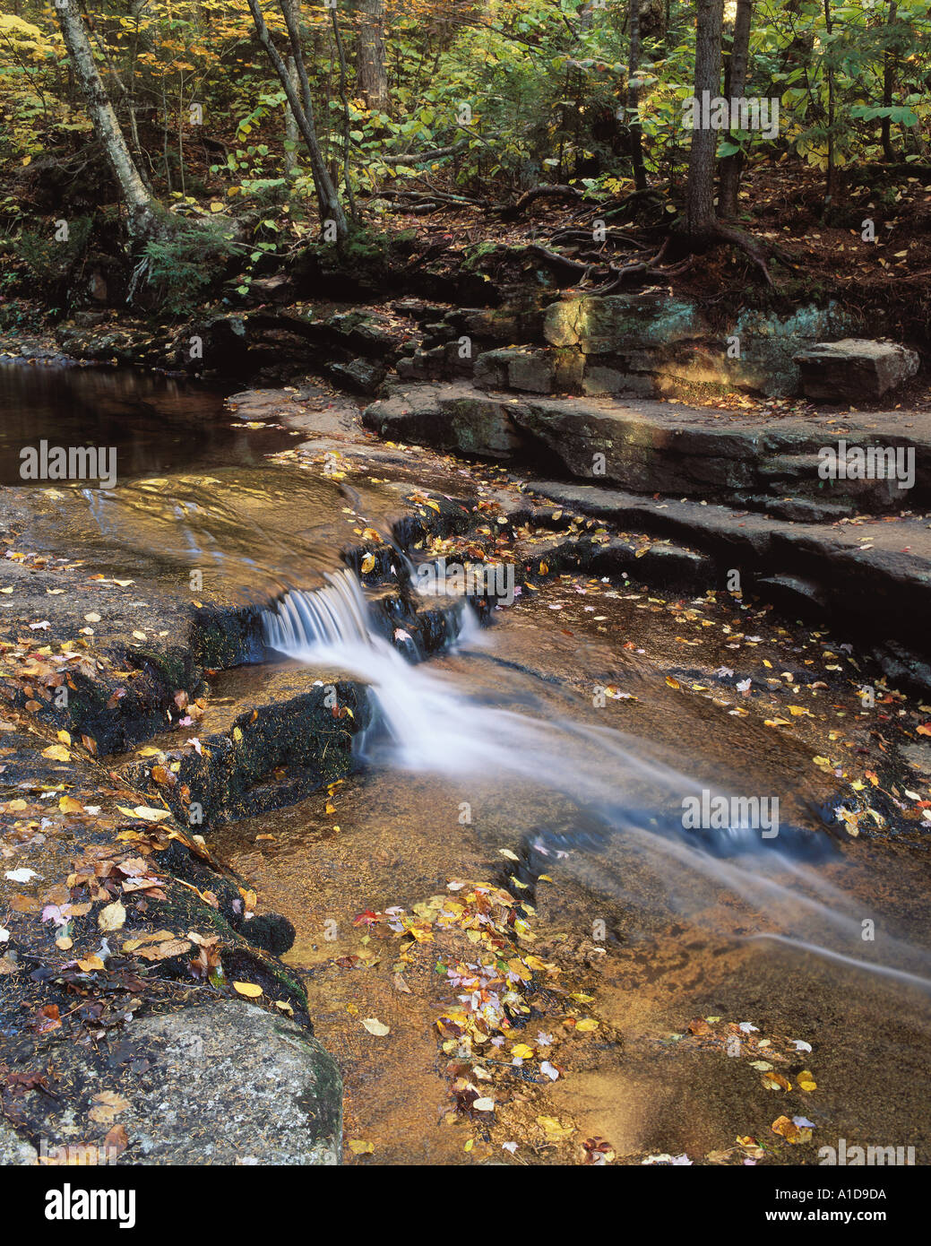 cascade along Bemis Brook Crawford Notch State Park New Hampshire USA ...