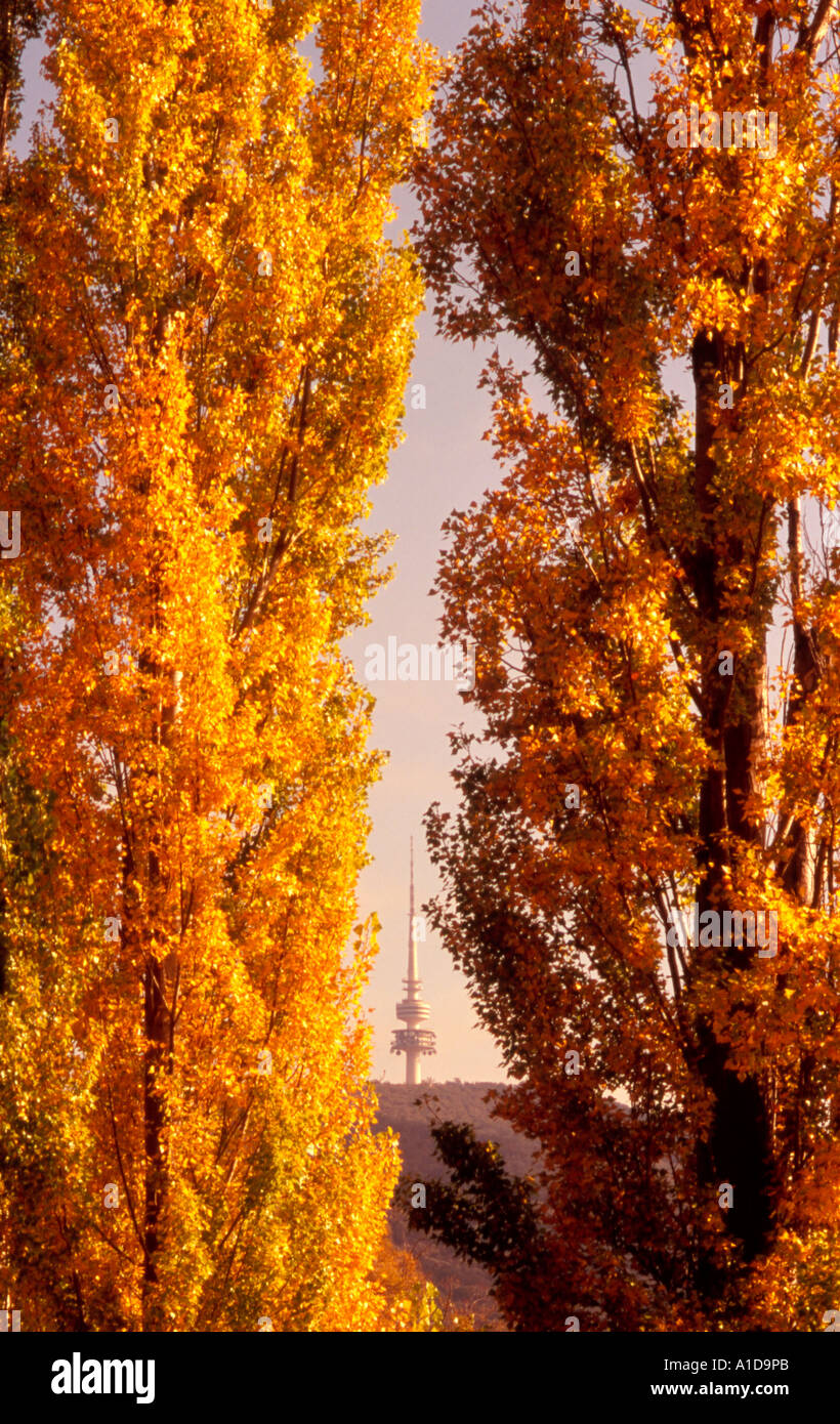 Telstra icon hi-res stock photography and images - Alamy