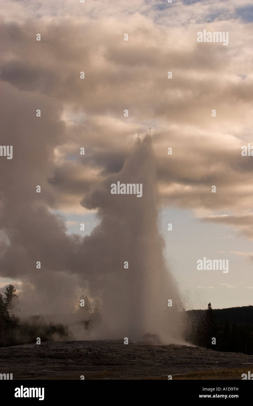 Old Faithful Geyser Stock Photo - Alamy