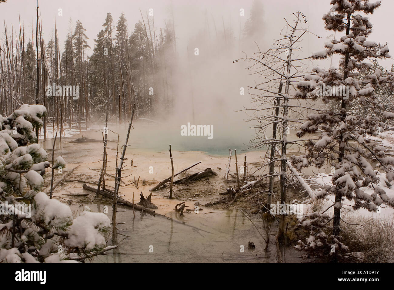 Cistern spring yellowstone hi-res stock photography and images - Alamy