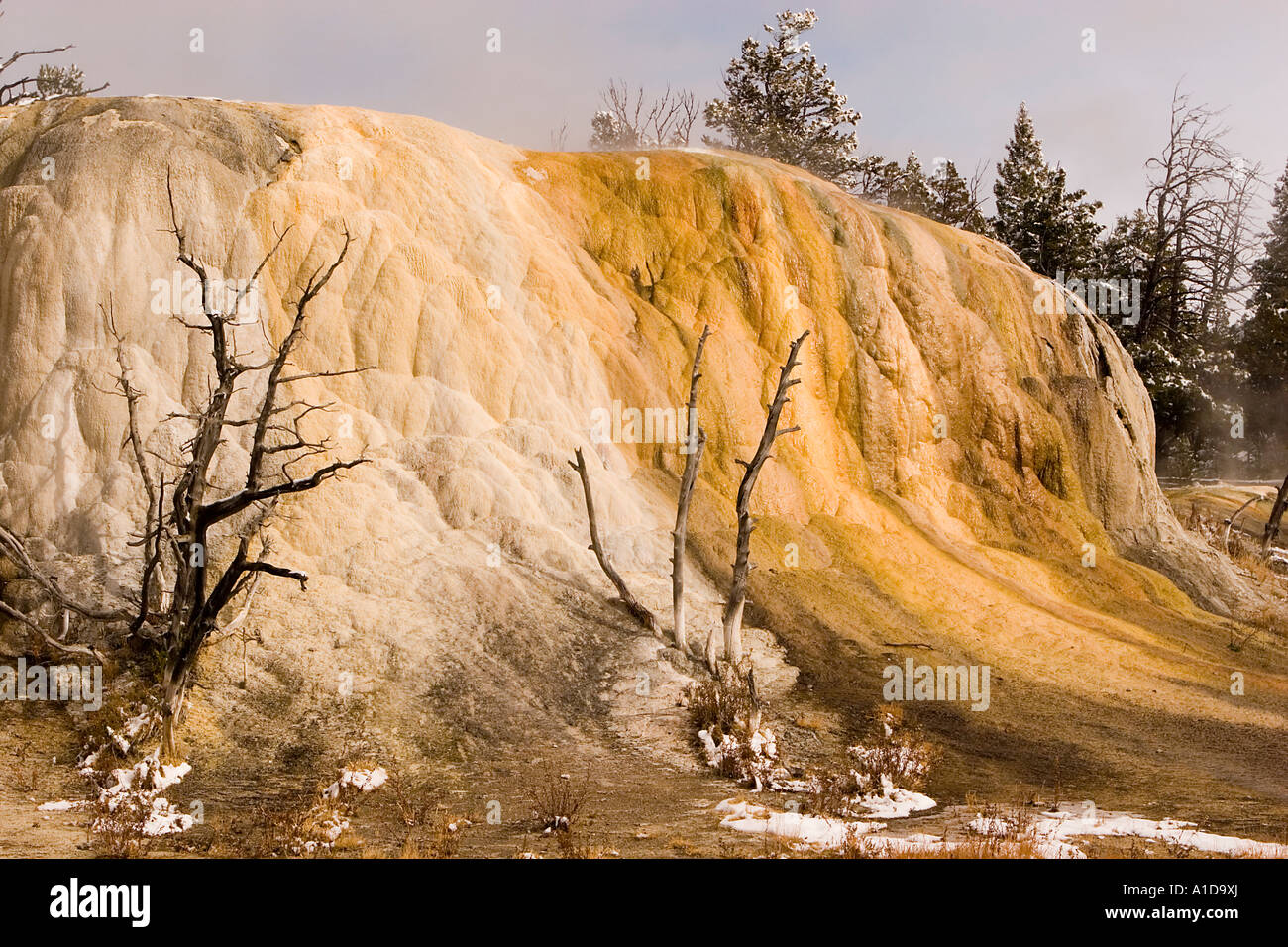 Orange Spring Mound Stock Photo - Alamy