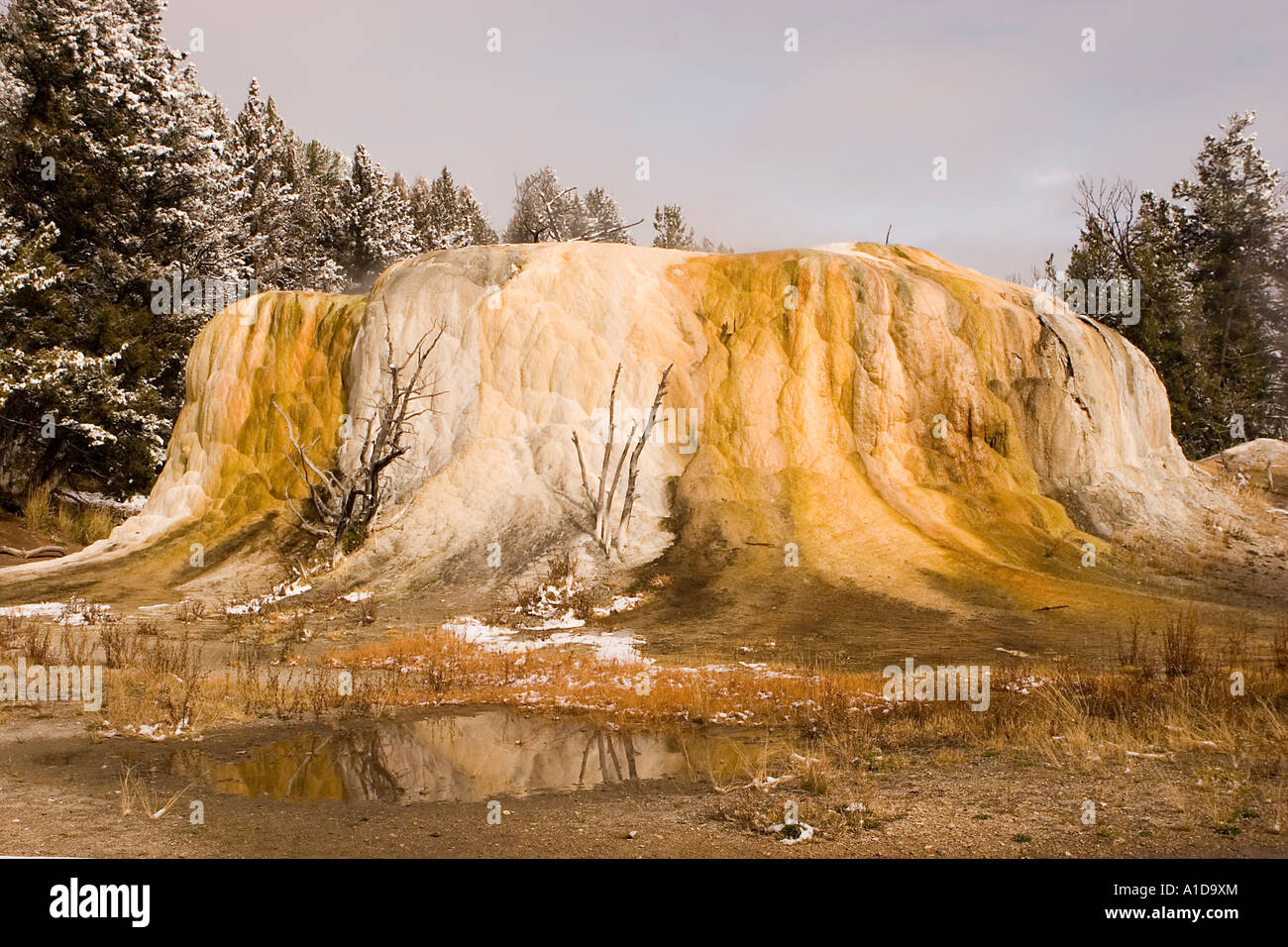 Orange Spring Mound Stock Photo - Alamy