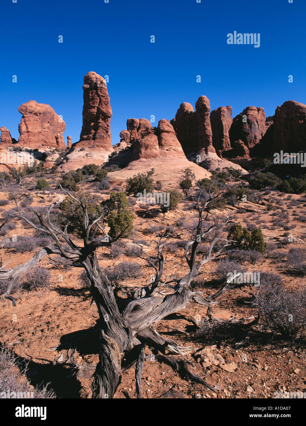 Arches National Monument Moab Utah USA Garden of Eden weathered ...