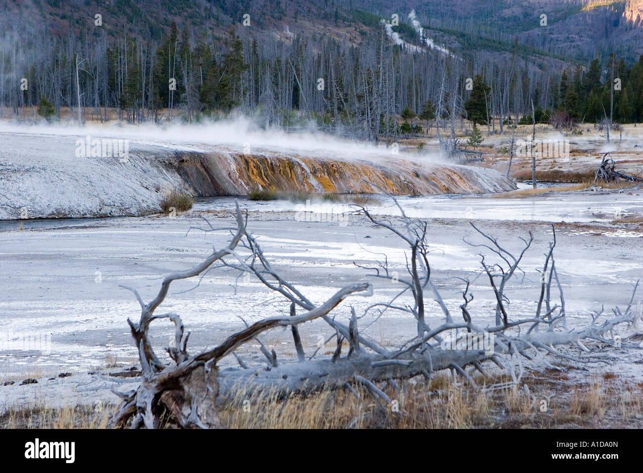 Black Sand Basin Stock Photo - Alamy