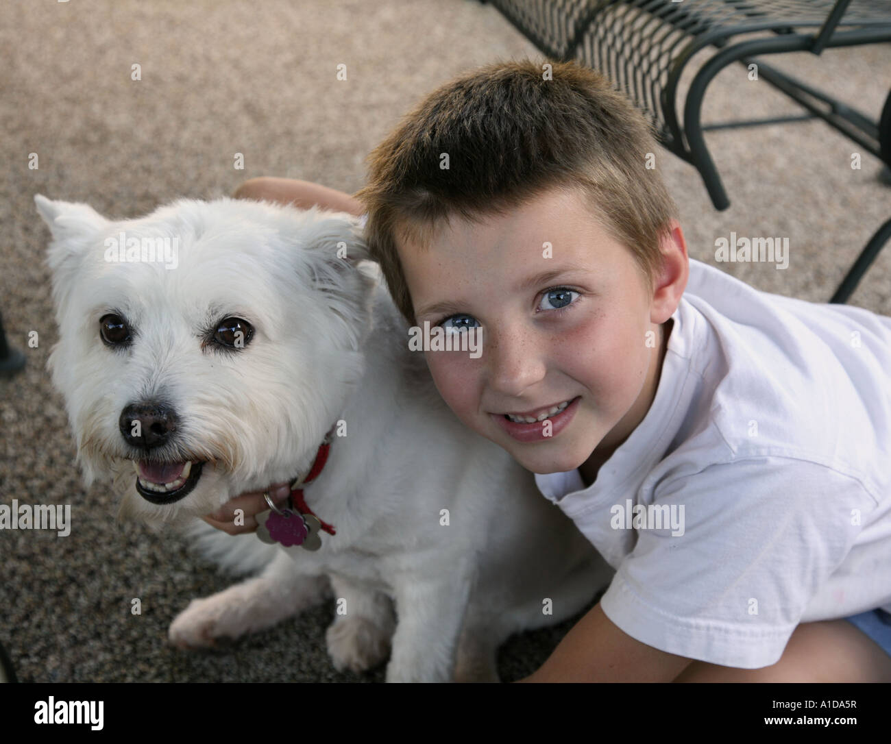 Young Boy and his best friend the dog Stock Photo - Alamy