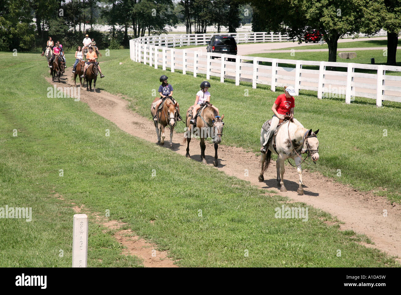 Children trail riding in Kentucky USA Stock Photo - Alamy
