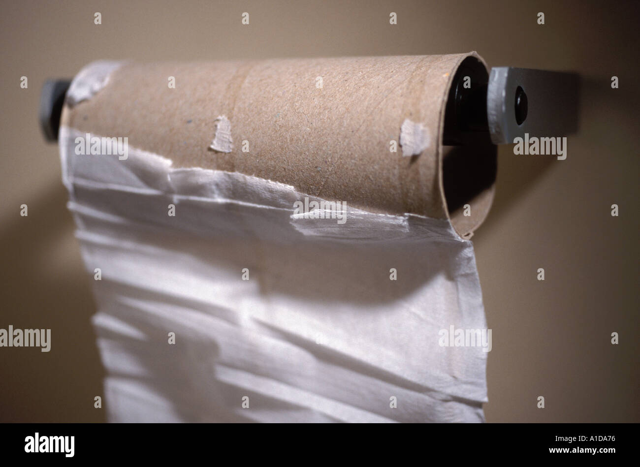 Empty toilet paper roll Stock Photo - Alamy