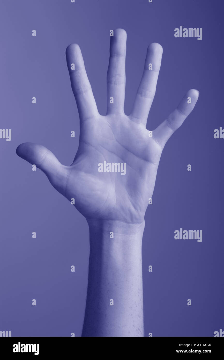 Open hand showing five fingers Stock Photo - Alamy