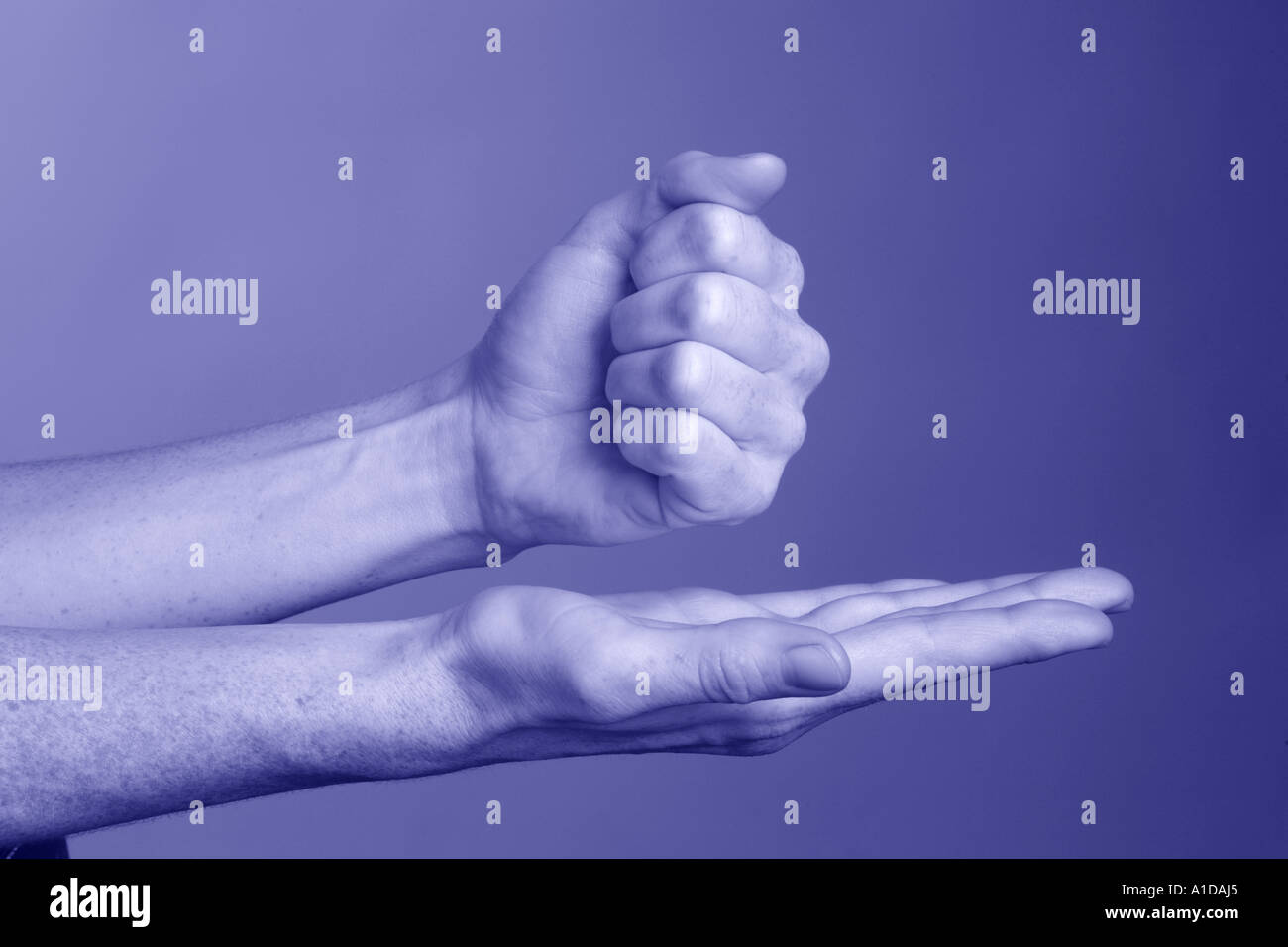 Hand hitting fist into palm to make a point Stock Photo - Alamy