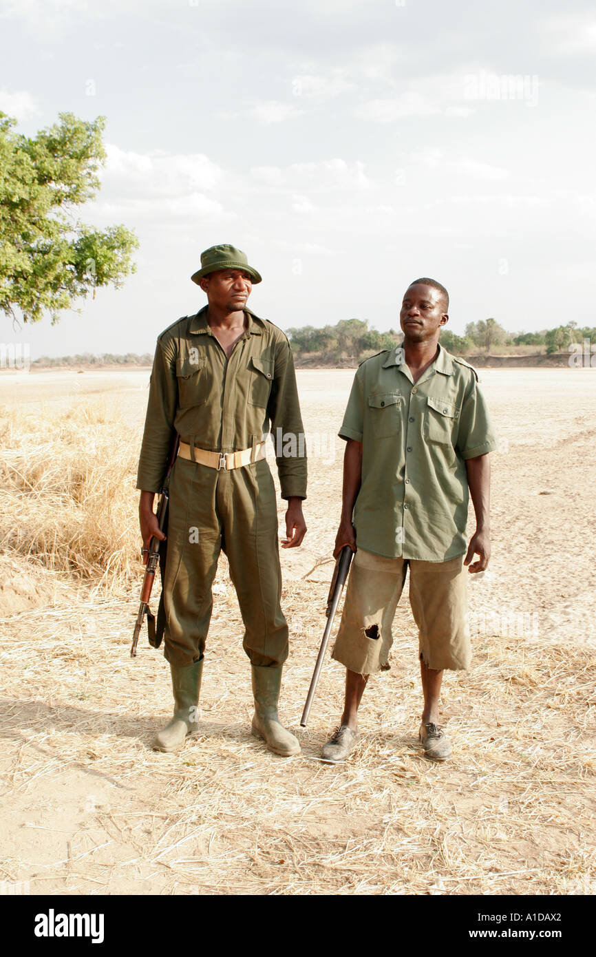 Anti poaching scouts on patrol in the Luangwa Valley in Zambia Stock ...