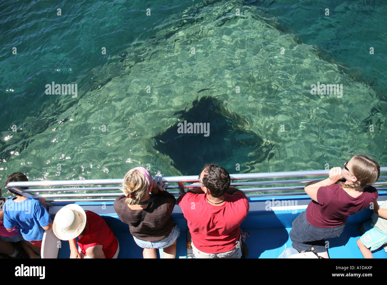 Tourist viewing shipwrecks at Fathom Five National Marine Park at ...