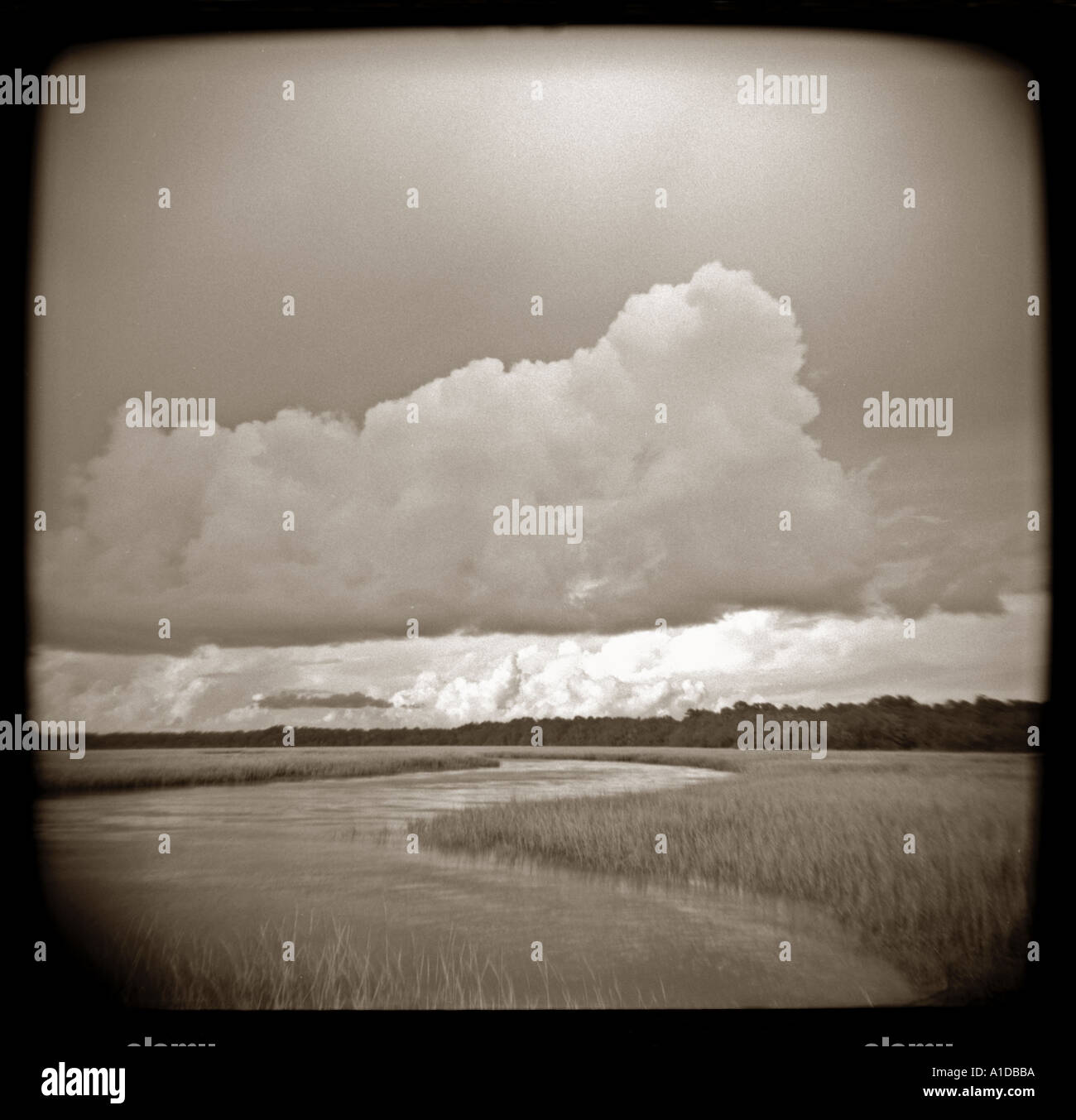 A storm gathers over the coastal marsh Stock Photo - Alamy