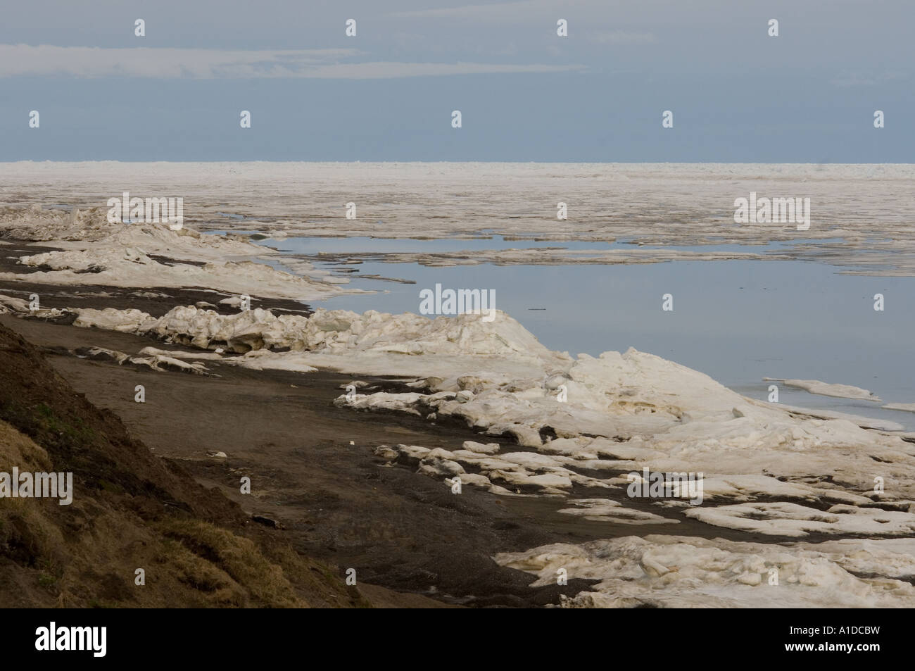 spring breakup along the Arctic coast south of Point Utqiagvik Barrow ...