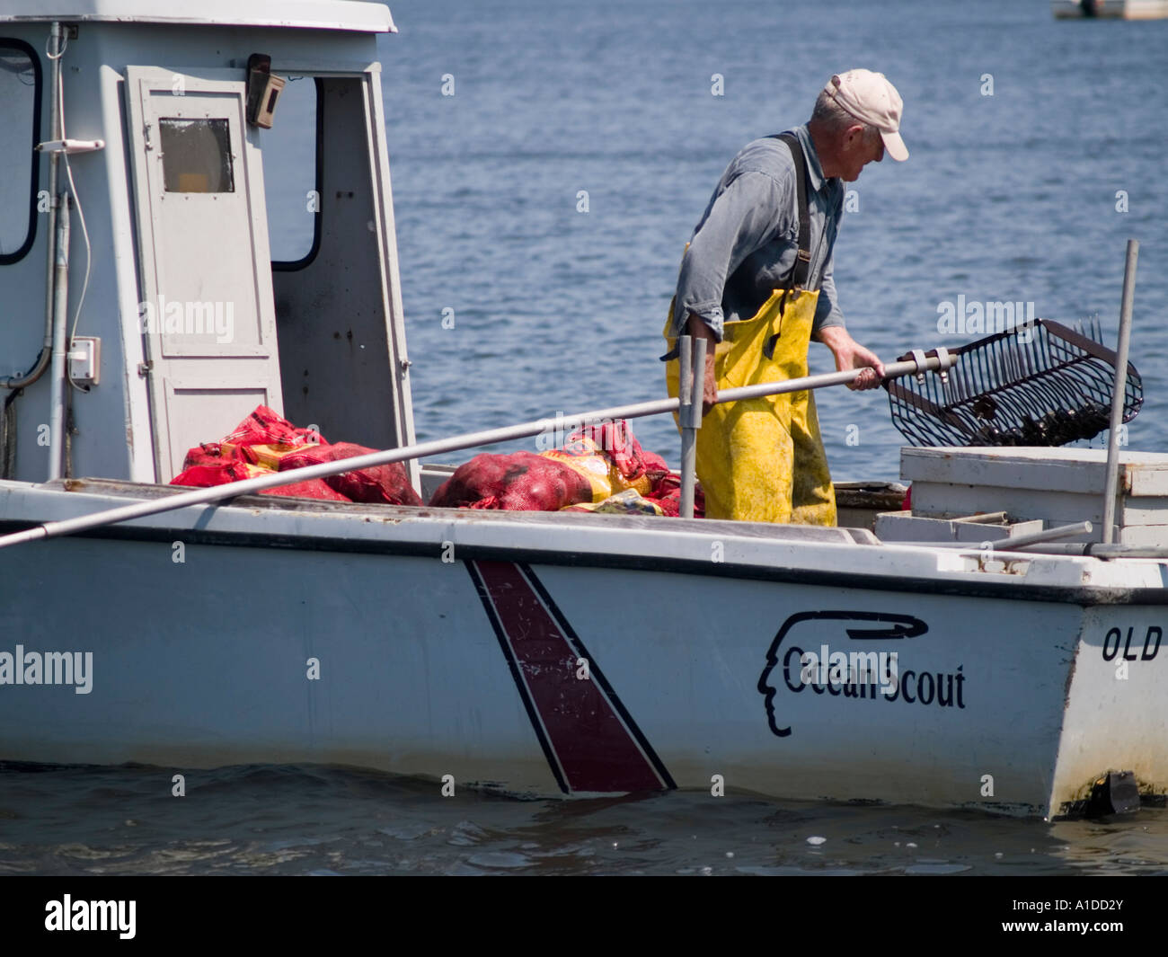 Quahoggers In Rhode Island