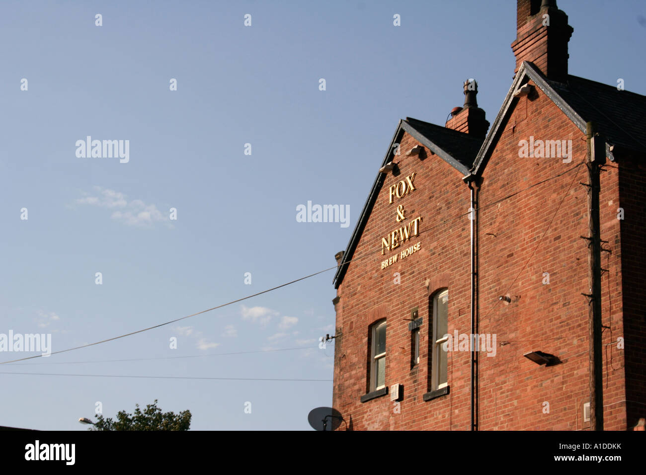 Fox and Newt Public house in Leeds Stock Photo - Alamy