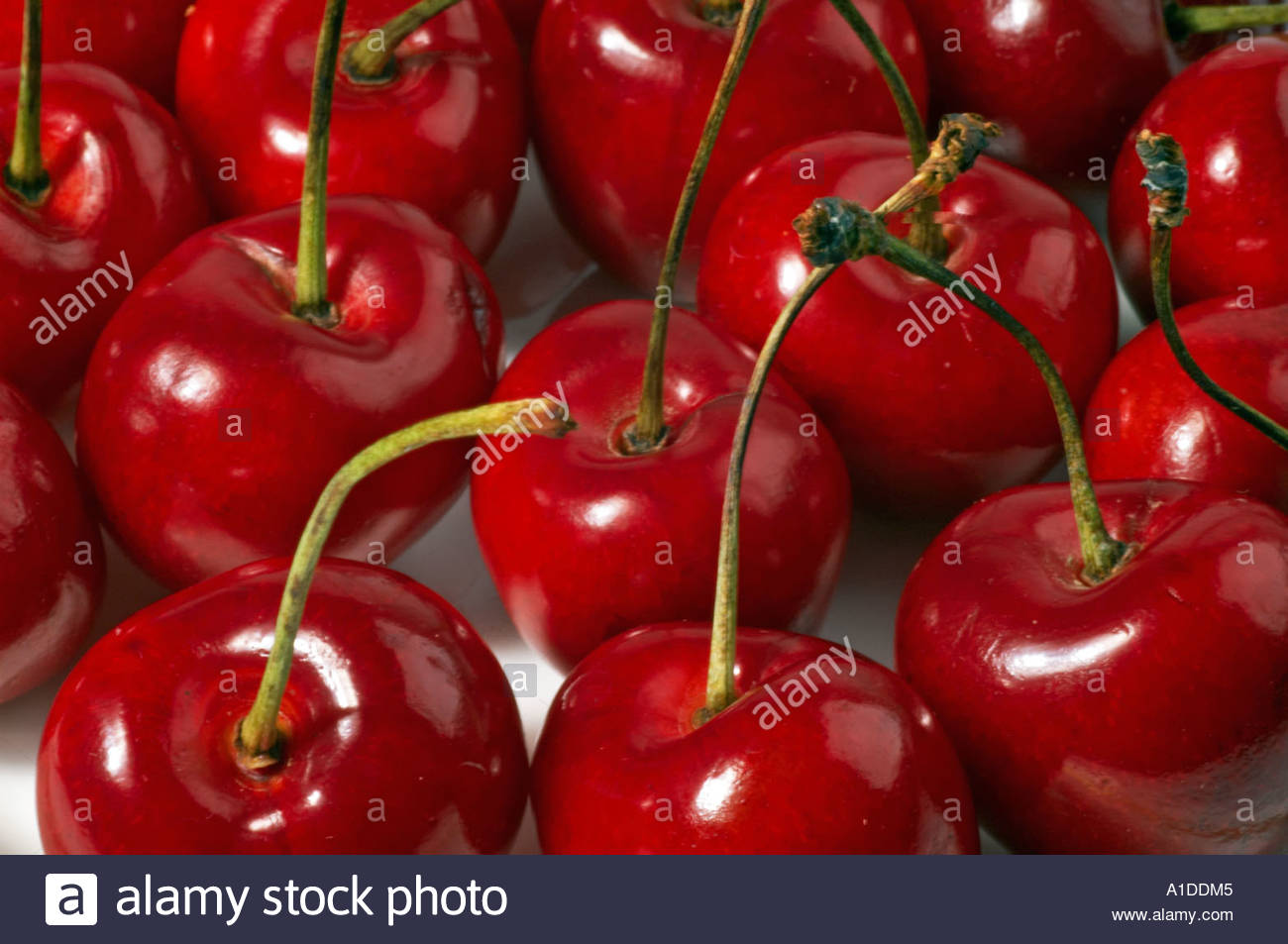 A number of red cherries Stock Photo - Alamy