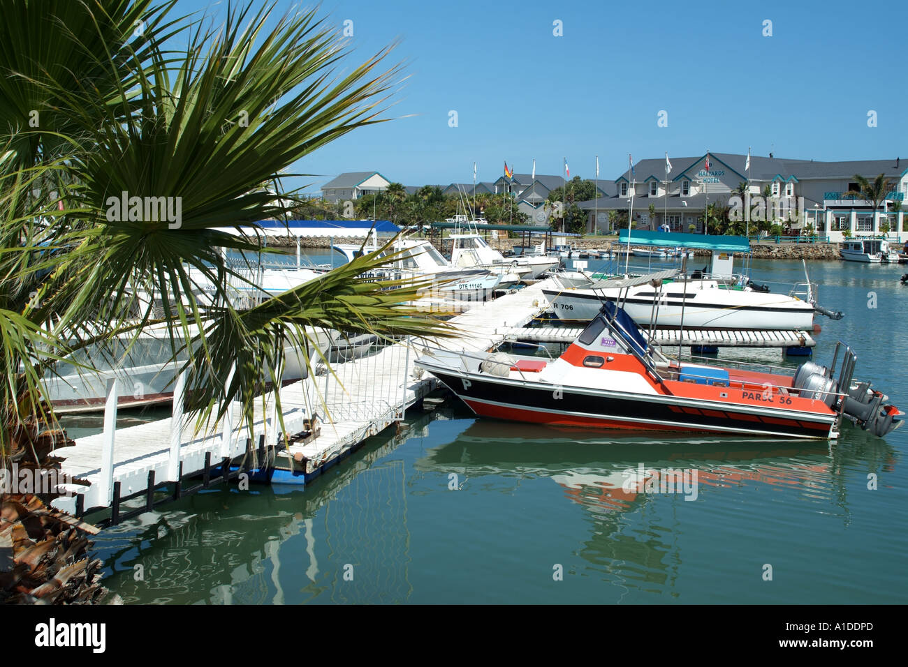 Port Alfred Eastern Cape Stock Photos & Port Alfred Eastern Cape Stock ...