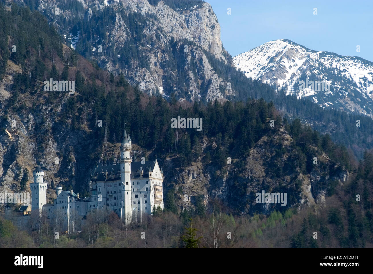 Neuschwanstein Castle in the Alps Stock Photo - Alamy
