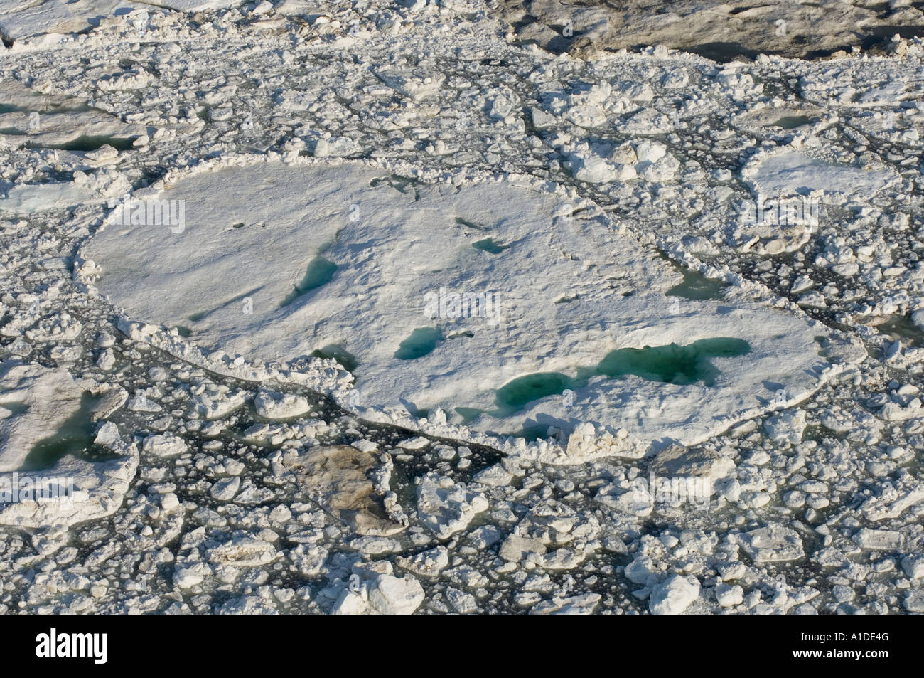 Aerial of multi layer ice with fresh water pans during spring off the ...