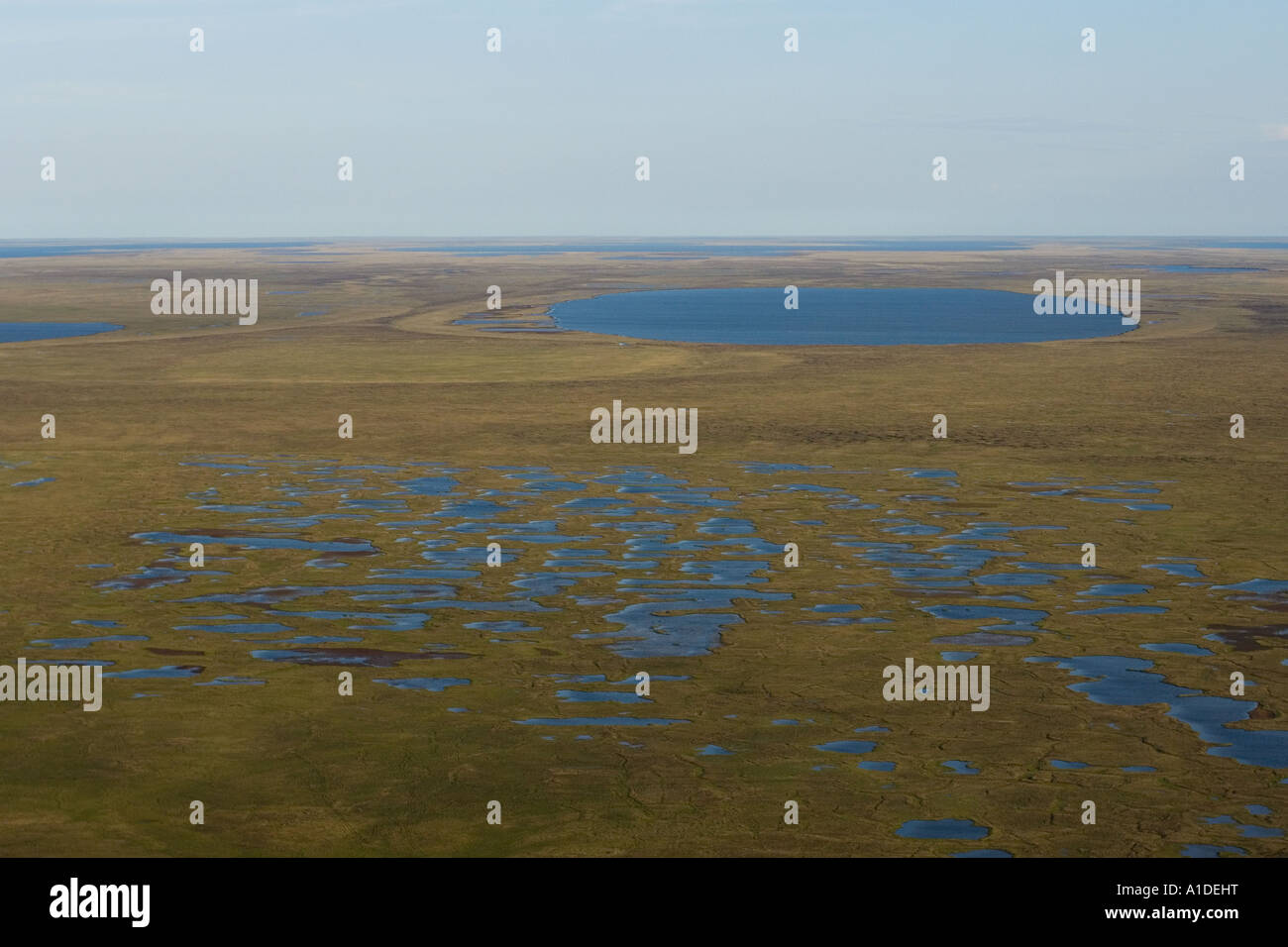 tundra landscape with freshwater ponds off the Colville River National ...