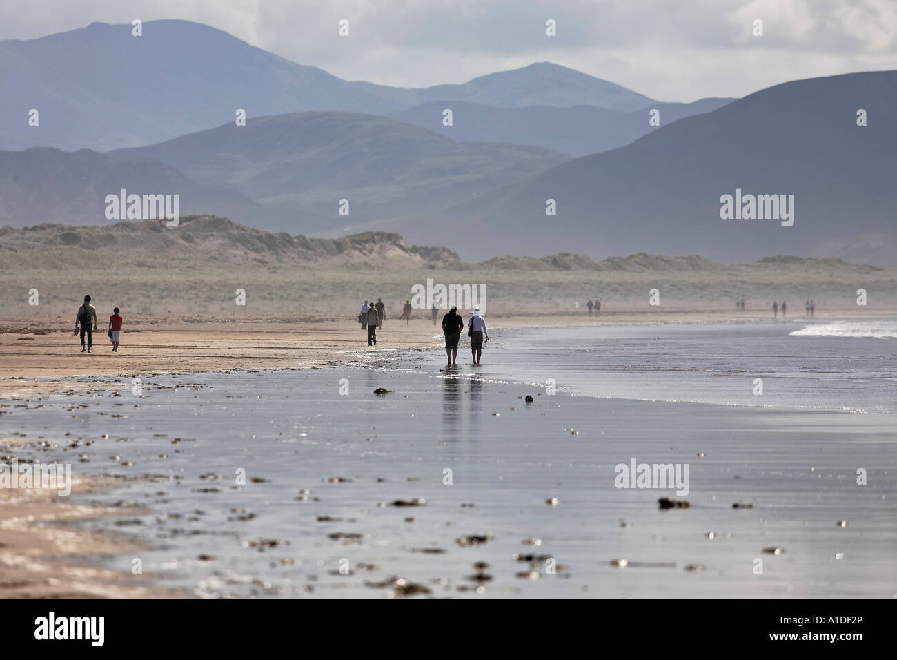 Inch Beach, Kerry, Dingle peninsula, Ireland Stock Photo - Alamy