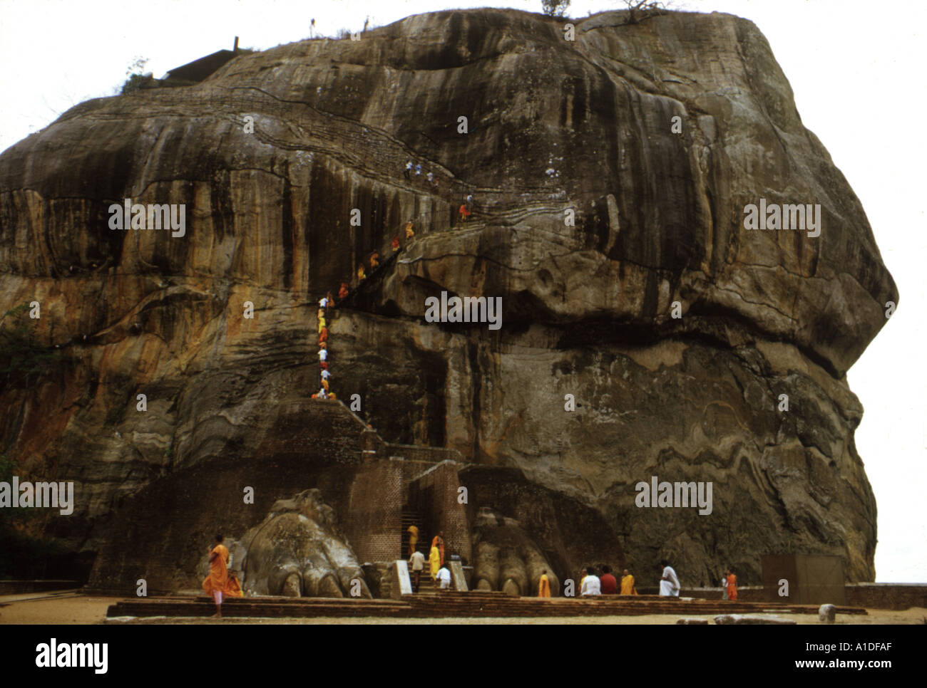 King kasyapa hi-res stock photography and images - Alamy