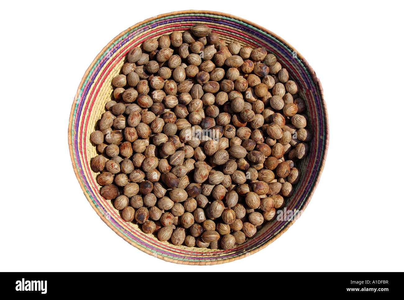 African oil palm tree fruit hi-res stock photography and images - Alamy