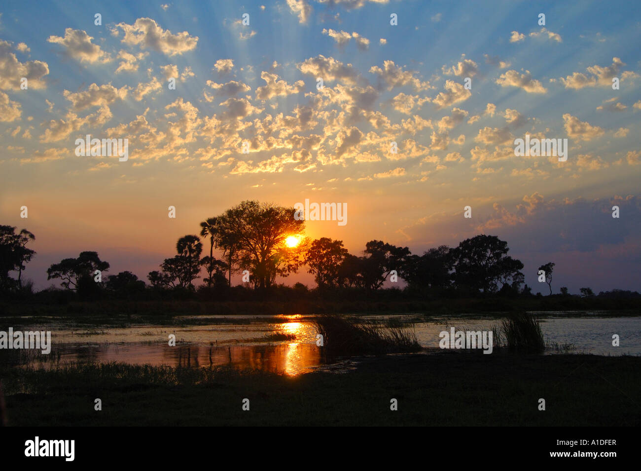 Forces of the universe hi-res stock photography and images - Alamy