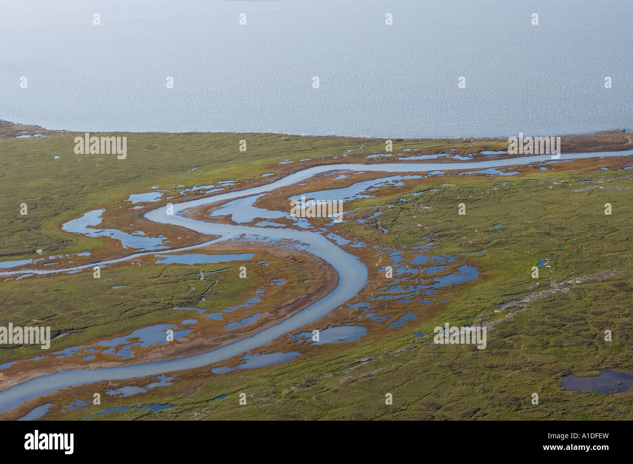 tundra landscape along the Arctic coast off the Colville River National ...