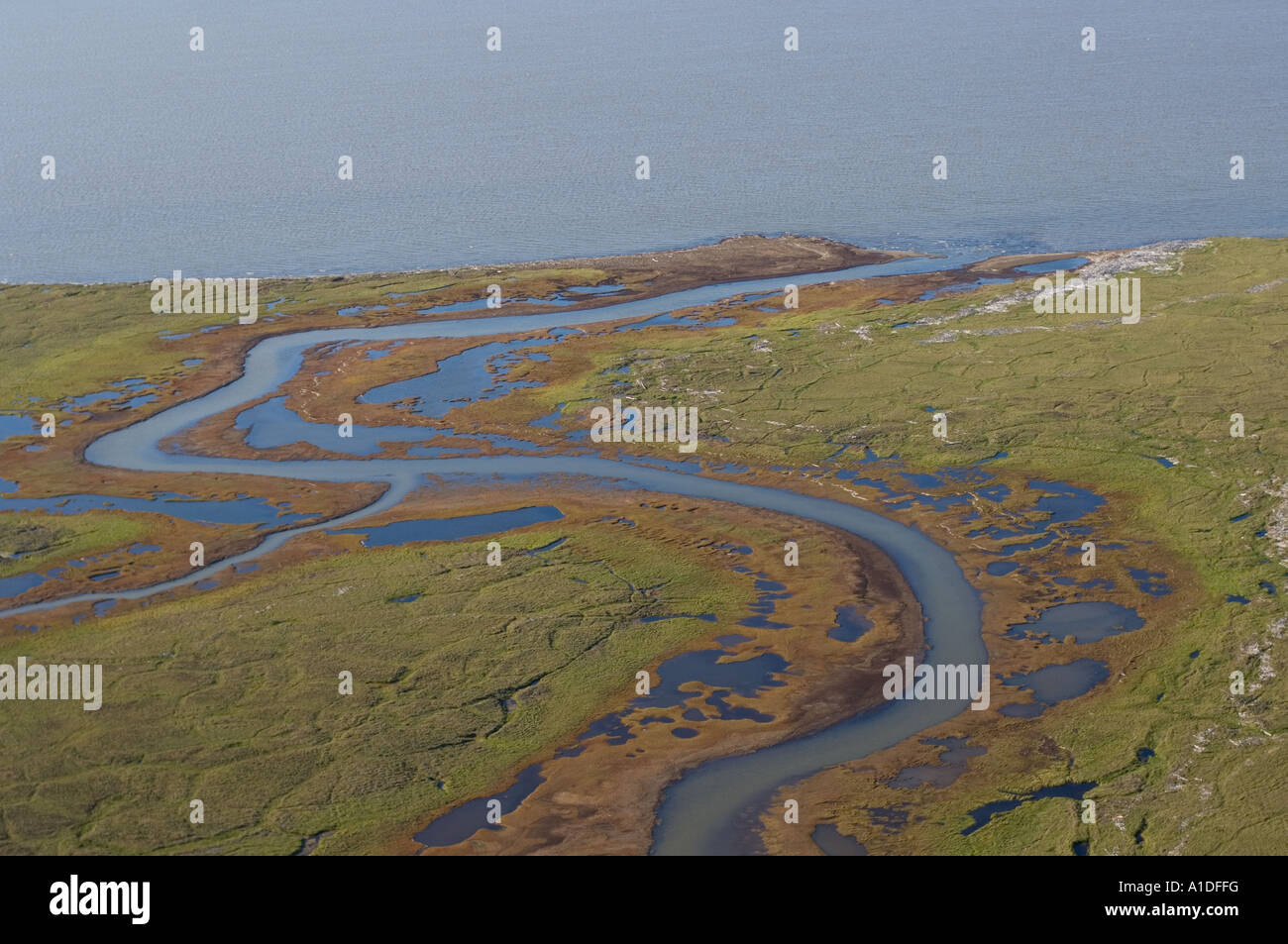 tundra landscape along the Arctic coast off the Colville River National ...