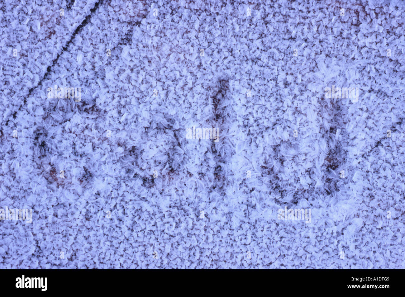 Cold....written in haw frost on park bench Stock Photo - Alamy