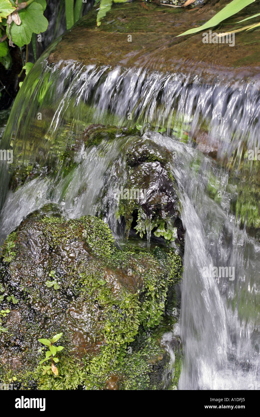 water cascading down stream Stock Photo - Alamy