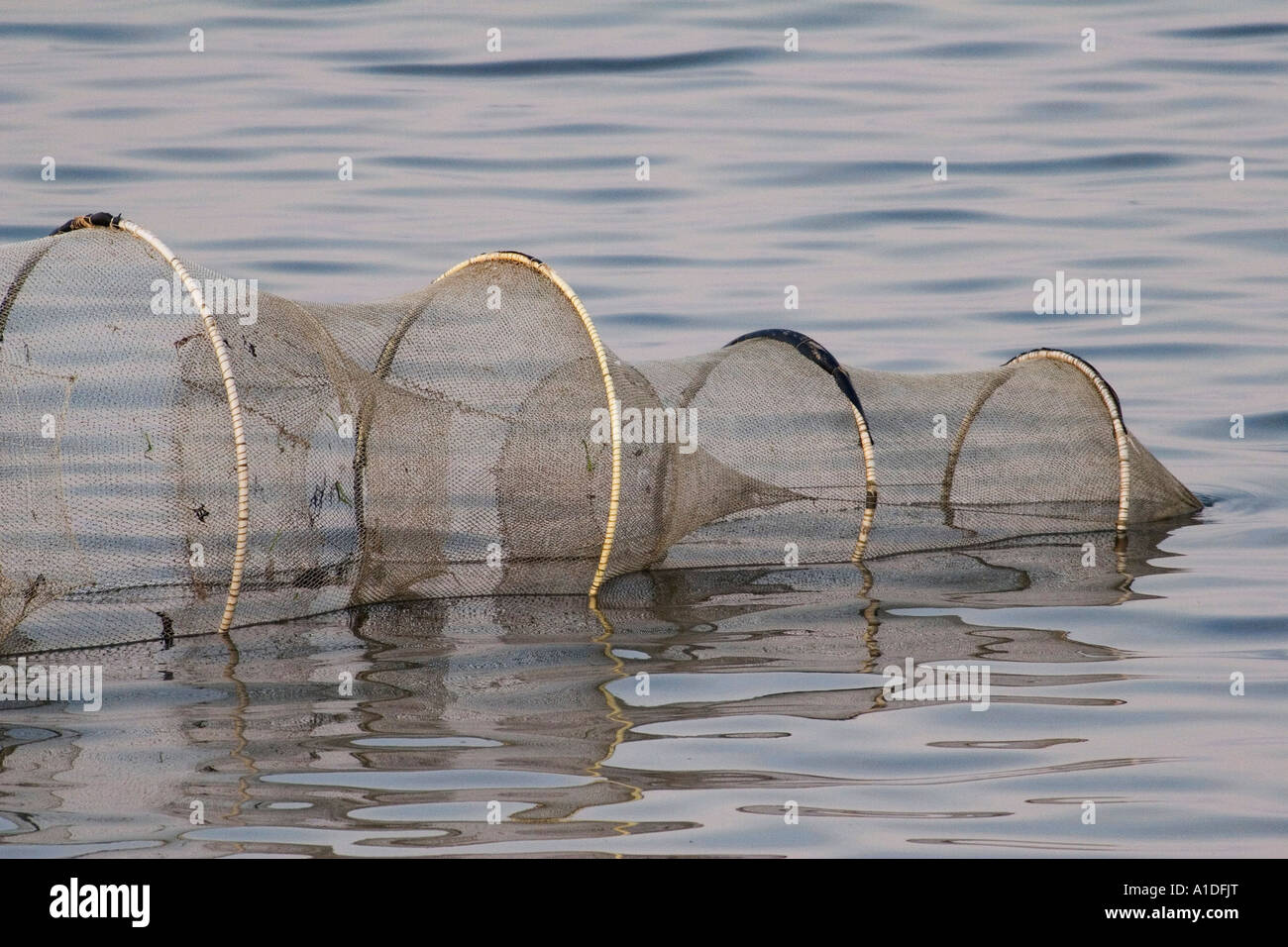 Fish trap in mudflat of North Sea at low tide Stock Photo - Alamy