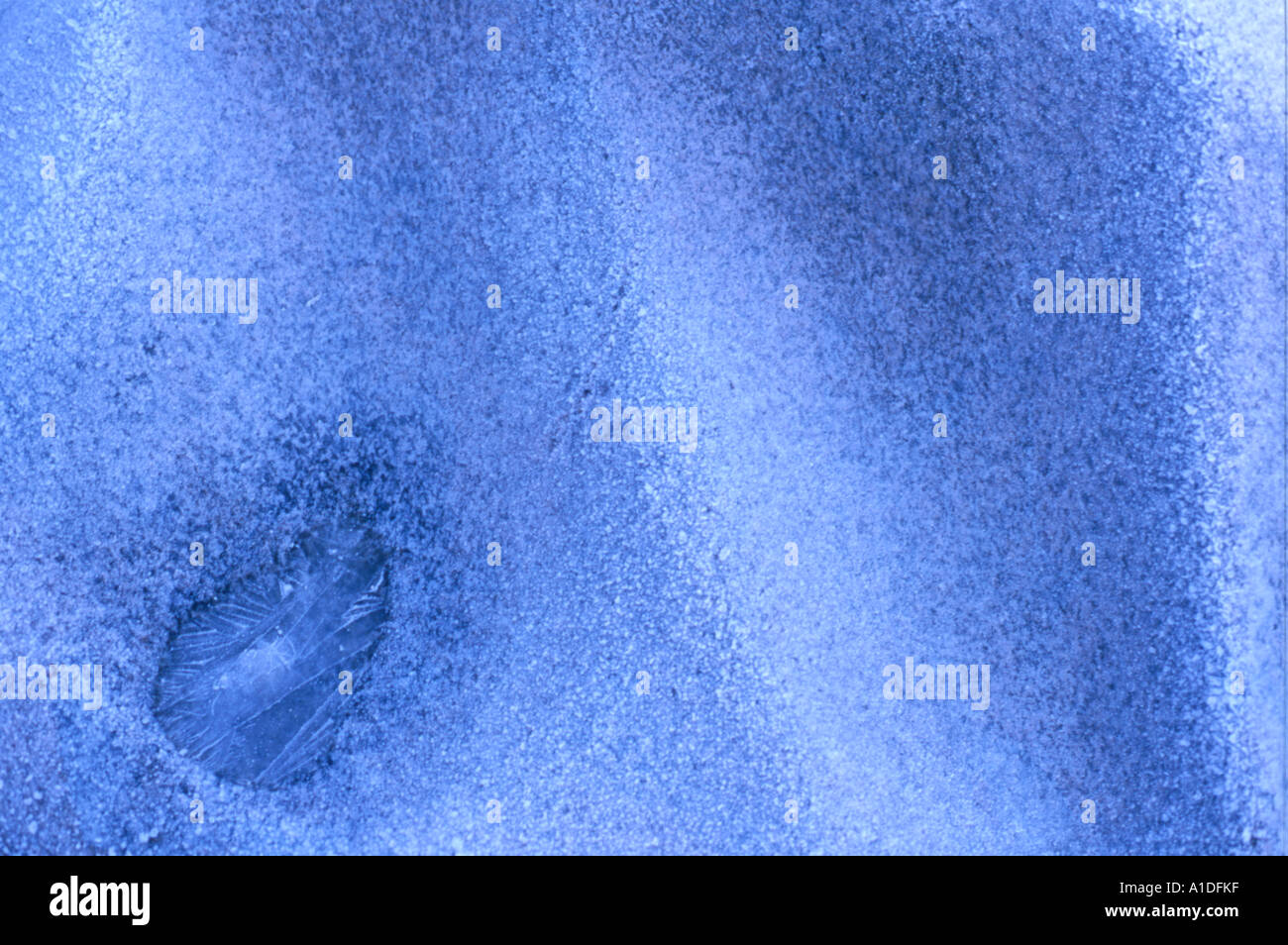 Patterns and pebble on frost covered rock Stock Photo - Alamy